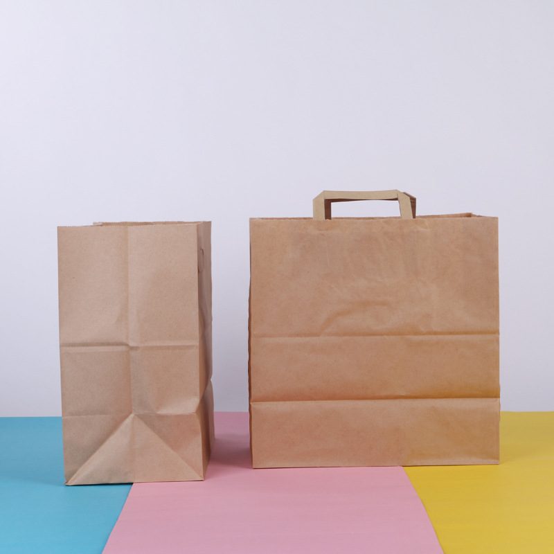 Paper carry bag manufacturers, custom paper carry bags wholesale in ...