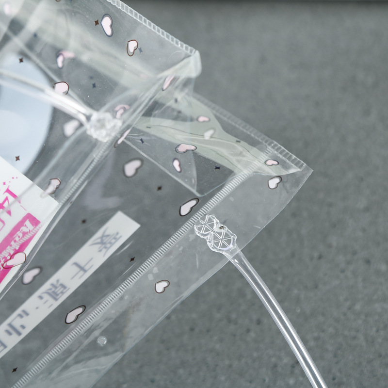 Transparent PVC carry bag